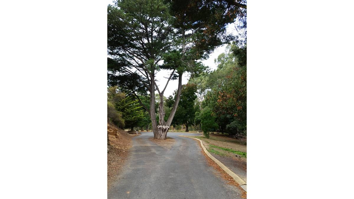 Vaughan Springs | Goldfields Guide