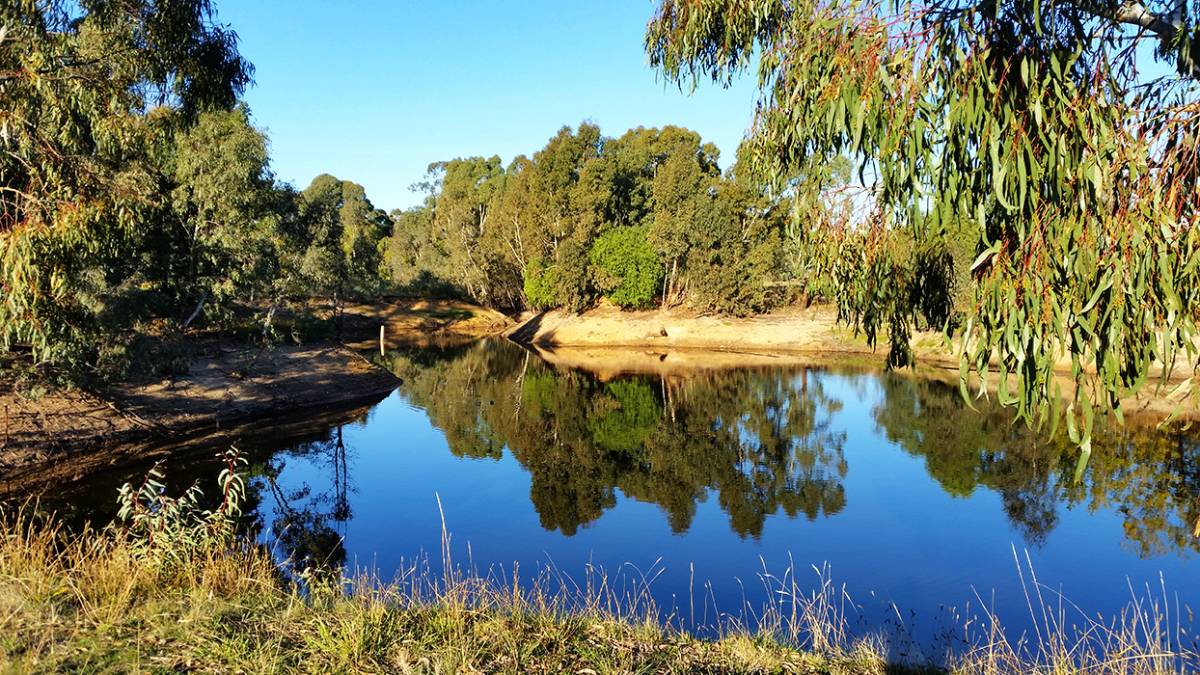 Dunolly Dredge Hole Walking Track | Goldfields Guide