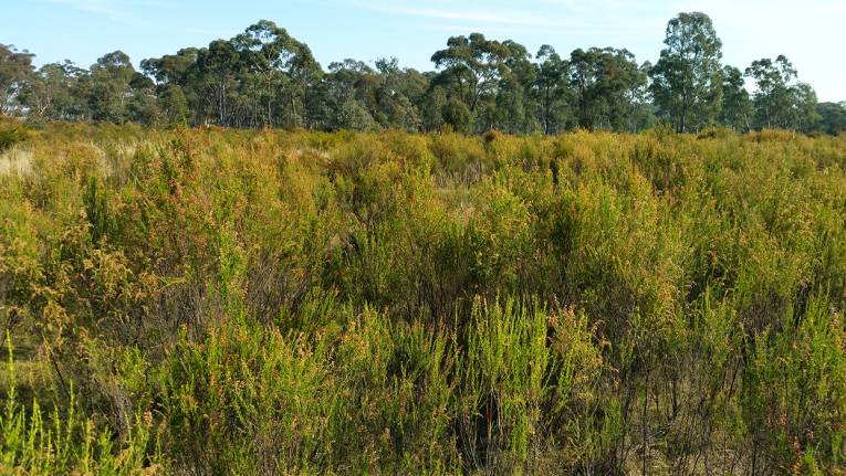 Hard Hill Talbot Recreation Reserve | Goldfields Guide