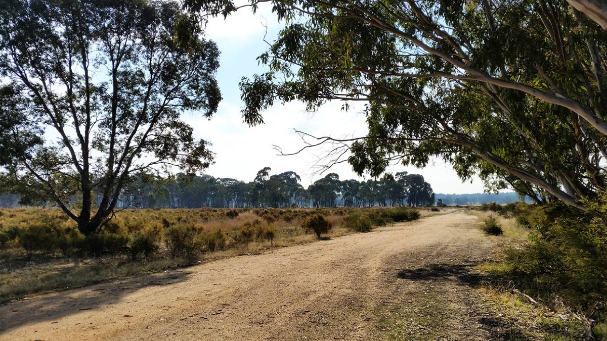 Hard Hill Talbot Recreation Reserve | Goldfields Guide