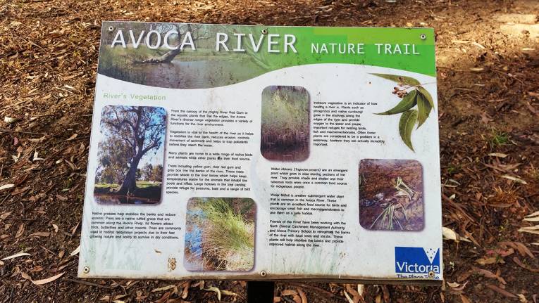 Avoca River Nature Trail | Goldfields Guide