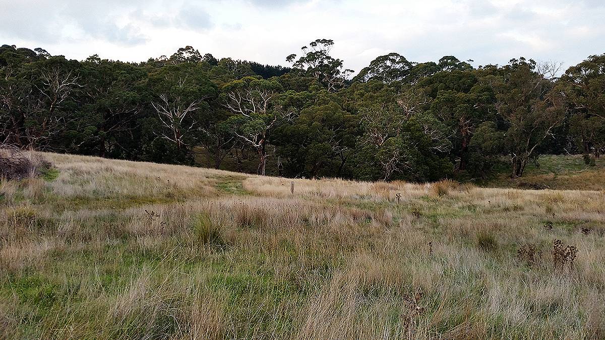 Moorabool Falls | Goldfields Guide