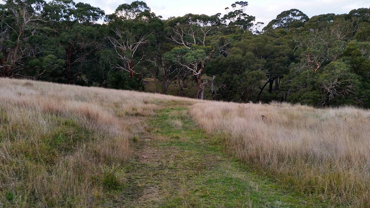 Moorabool Falls | Goldfields Guide