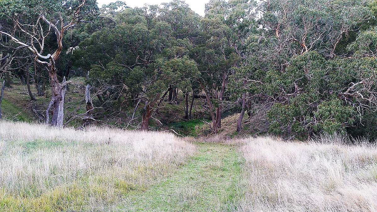 Moorabool Falls | Goldfields Guide