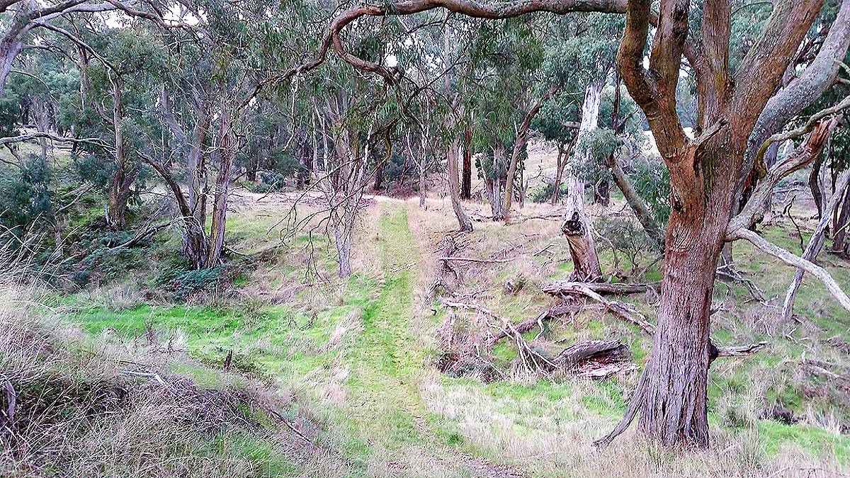 Moorabool Falls | Goldfields Guide