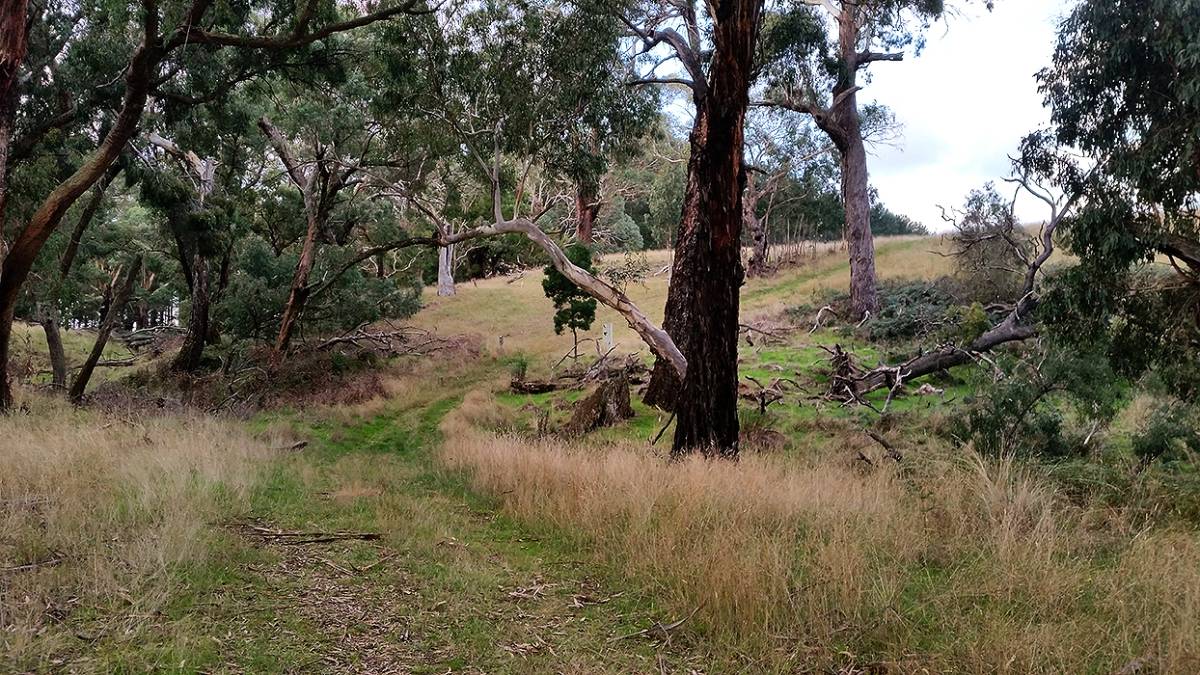 Moorabool Falls | Goldfields Guide