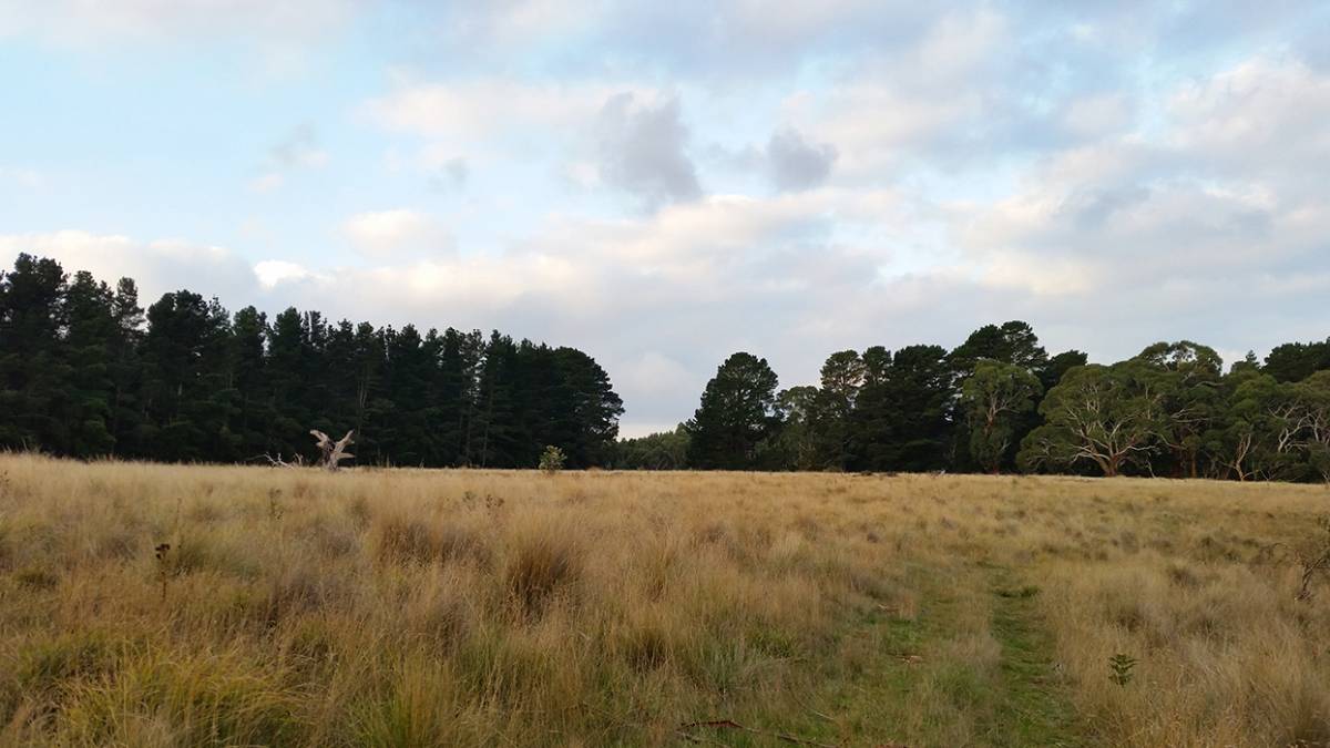 Moorabool Falls | Goldfields Guide