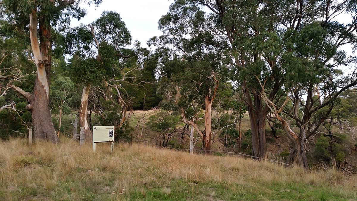 Moorabool Falls | Goldfields Guide