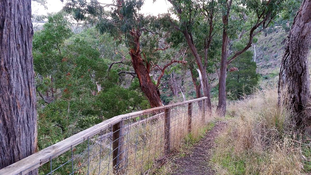 Moorabool Falls | Goldfields Guide
