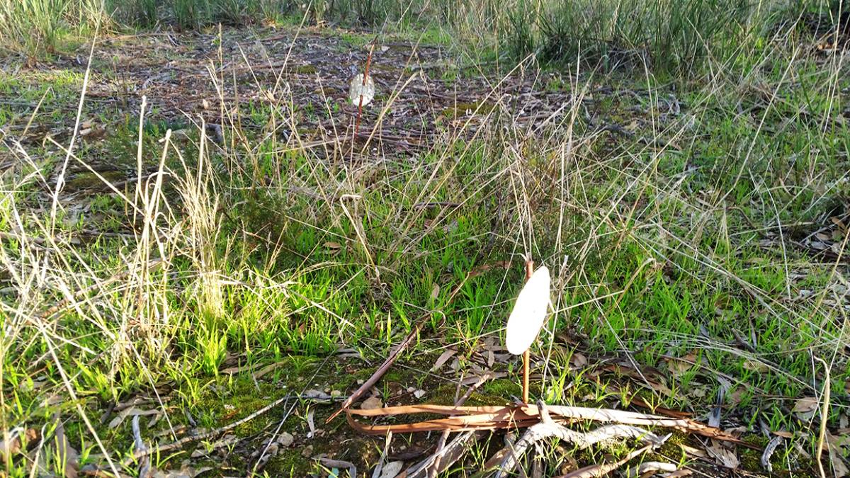 Old Dunolly Cemetery | Goldfields Guide