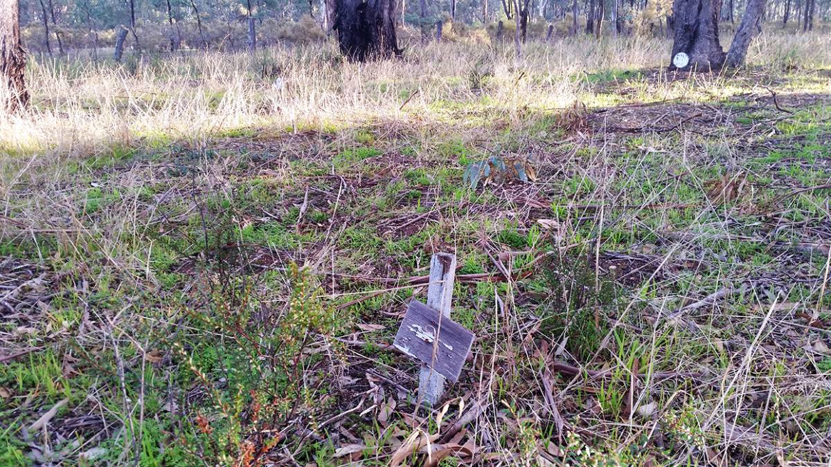 Old Dunolly Cemetery | Goldfields Guide