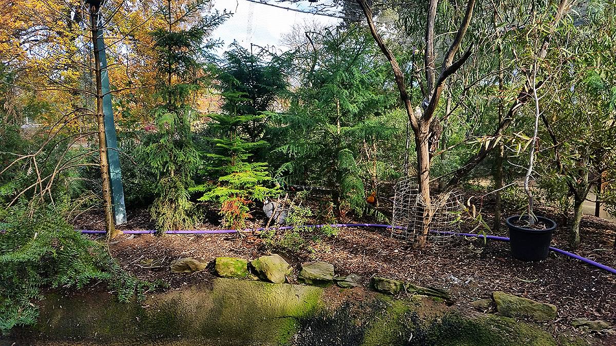 Bendigo Botanic Garden Bird Aviary | Goldfields Guide