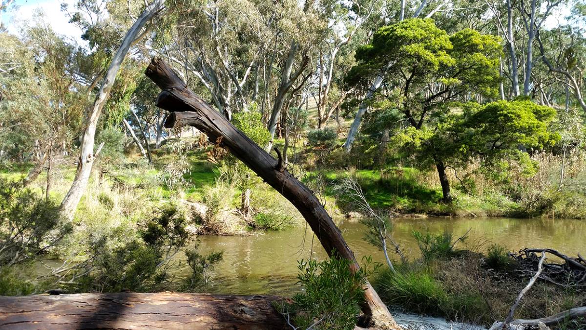 Glenluce Mineral Spring | Goldfields Guide