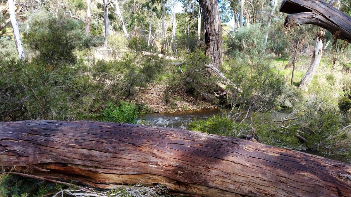 Glenluce Mineral Spring | Goldfields Guide
