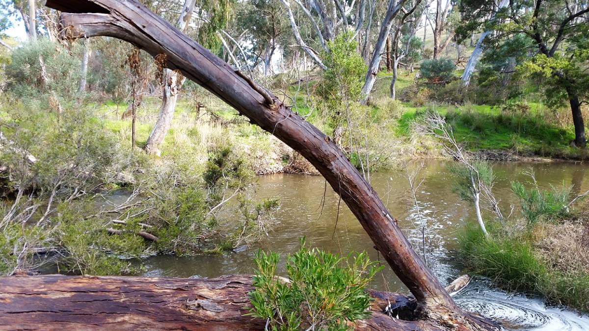 Glenluce Mineral Spring | Goldfields Guide