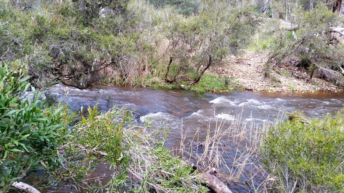 Glenluce Mineral Spring | Goldfields Guide