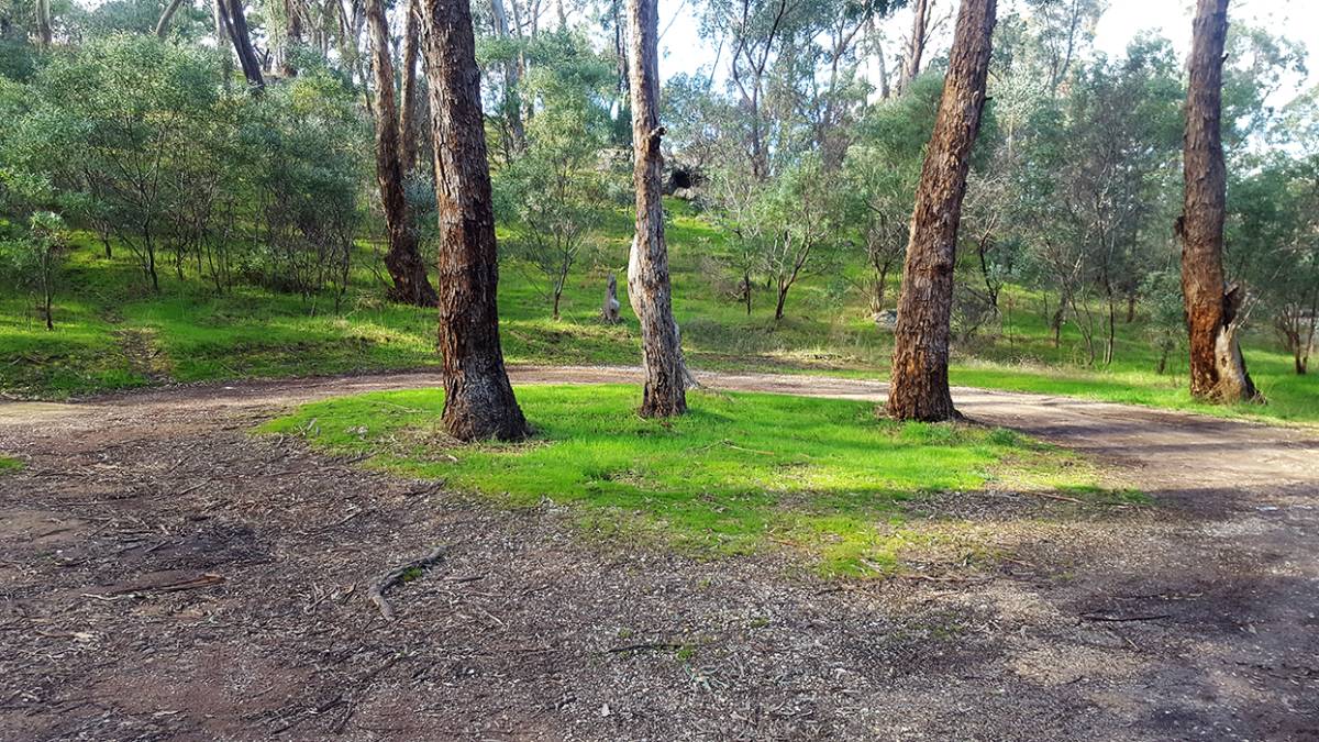 Glenluce Mineral Spring | Goldfields Guide