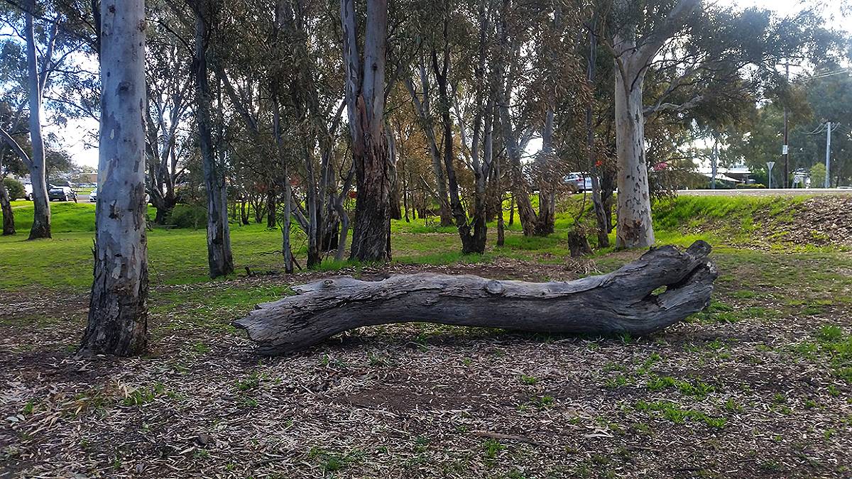 Kangaroo Flat Reserve | Goldfields Guide