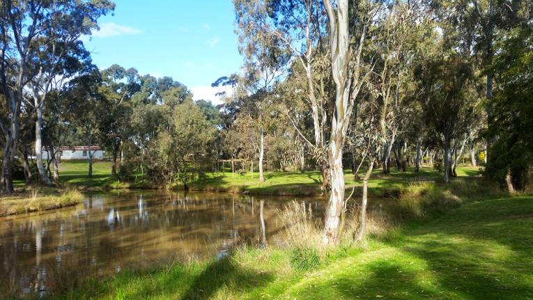 Kangaroo Flat Reserve | Goldfields Guide