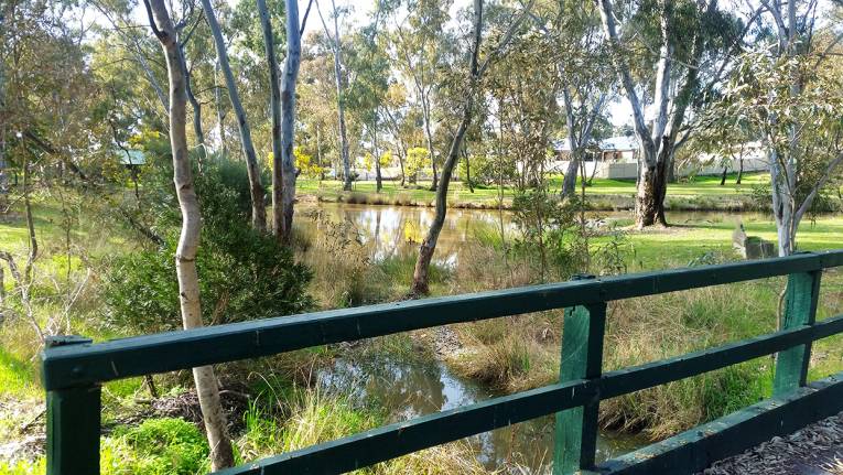 Kangaroo Flat Reserve | Goldfields Guide