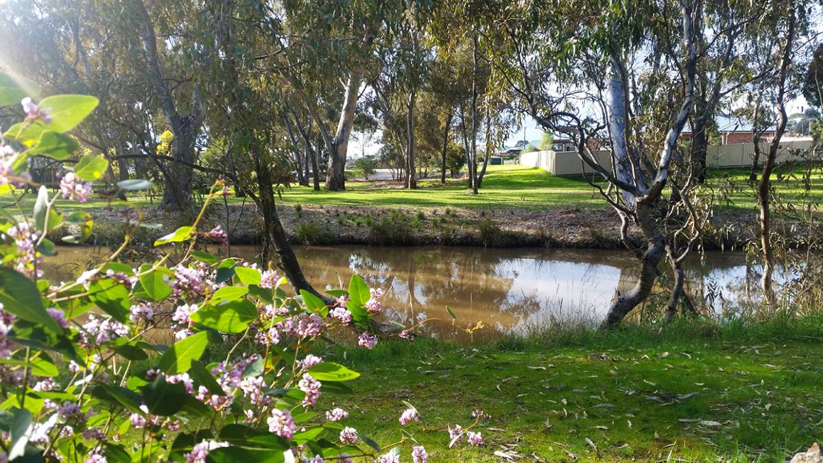 Kangaroo Flat Reserve | Goldfields Guide