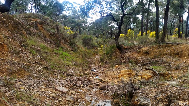 Dead Dog Gully Alluvial Gold Workings | Goldfields Guide