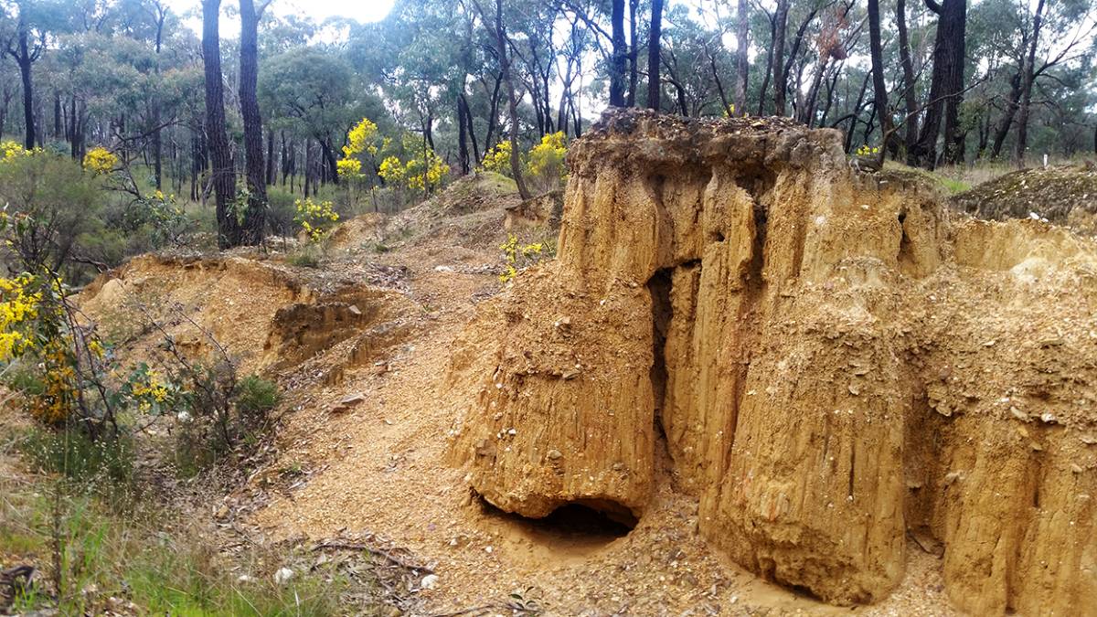 Dead Dog Gully Alluvial Gold Workings | Goldfields Guide