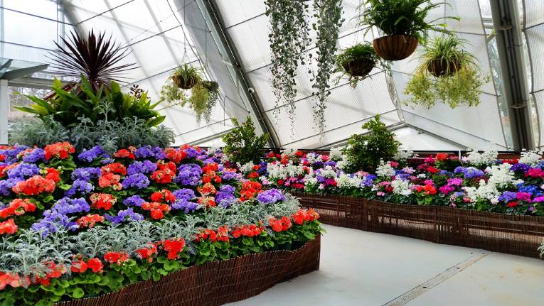 Robert Clark Conservatory | Goldfields Guide