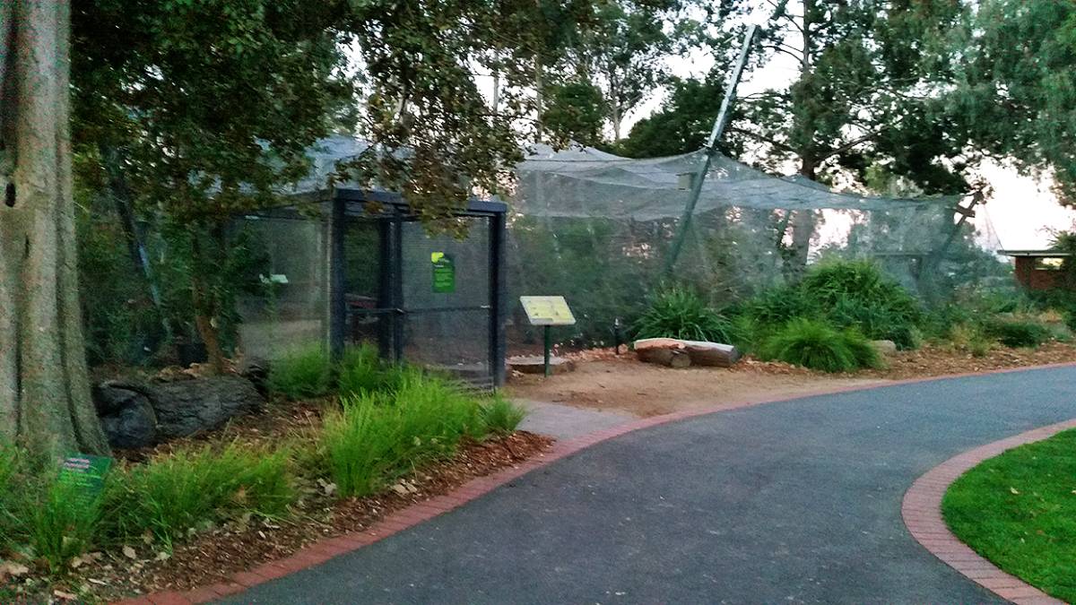 Bendigo Botanic Garden Bird Aviary | Goldfields Guide