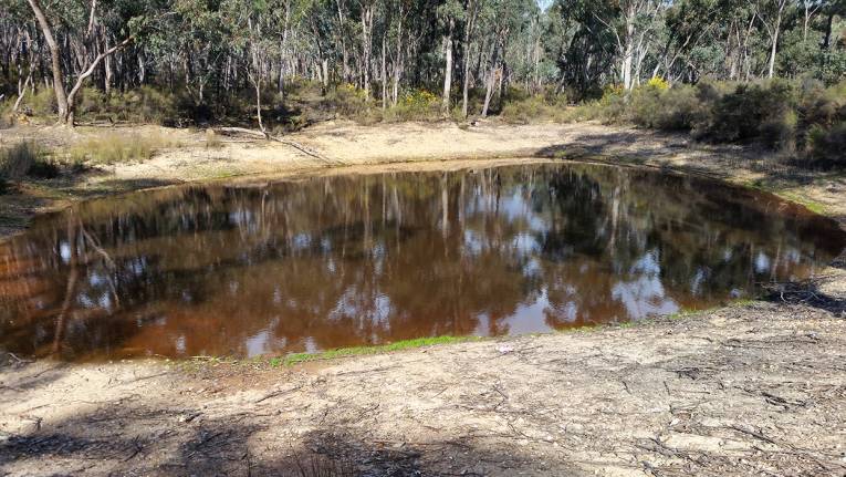 Louisa Dam and Gold Puddler | Goldfields Guide