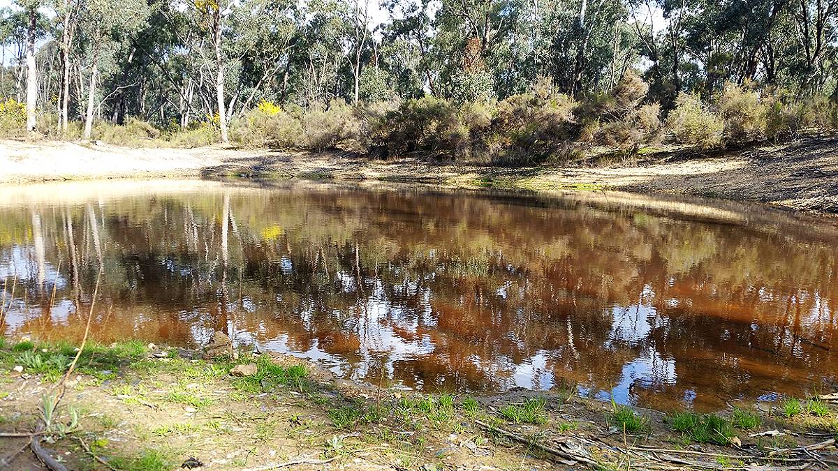Louisa Dam and Gold Puddler | Goldfields Guide