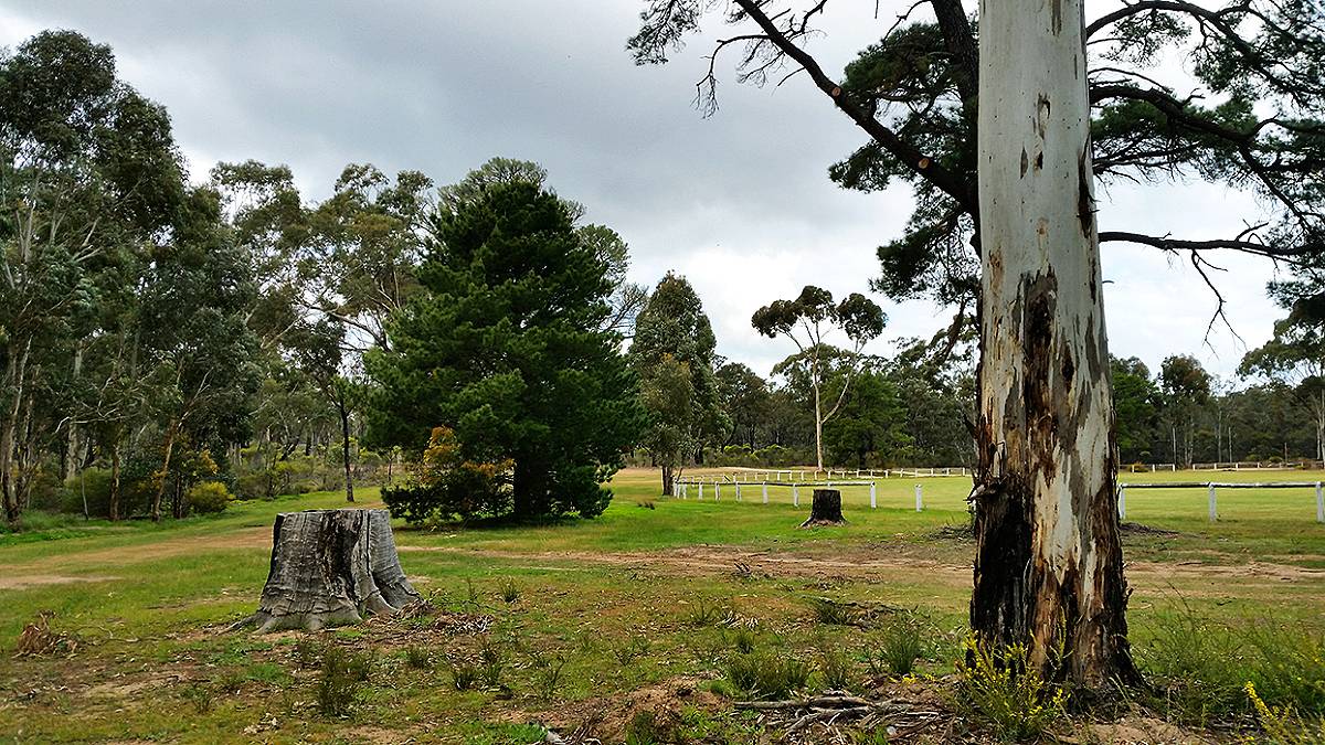 Tarnagulla Recreation Reserve | Goldfields Guide