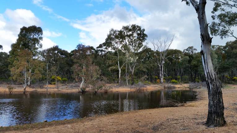 Tarnagulla Reservoir | Goldfields Guide