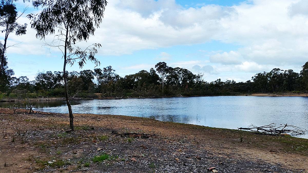 Tarnagulla Reservoir | Goldfields Guide