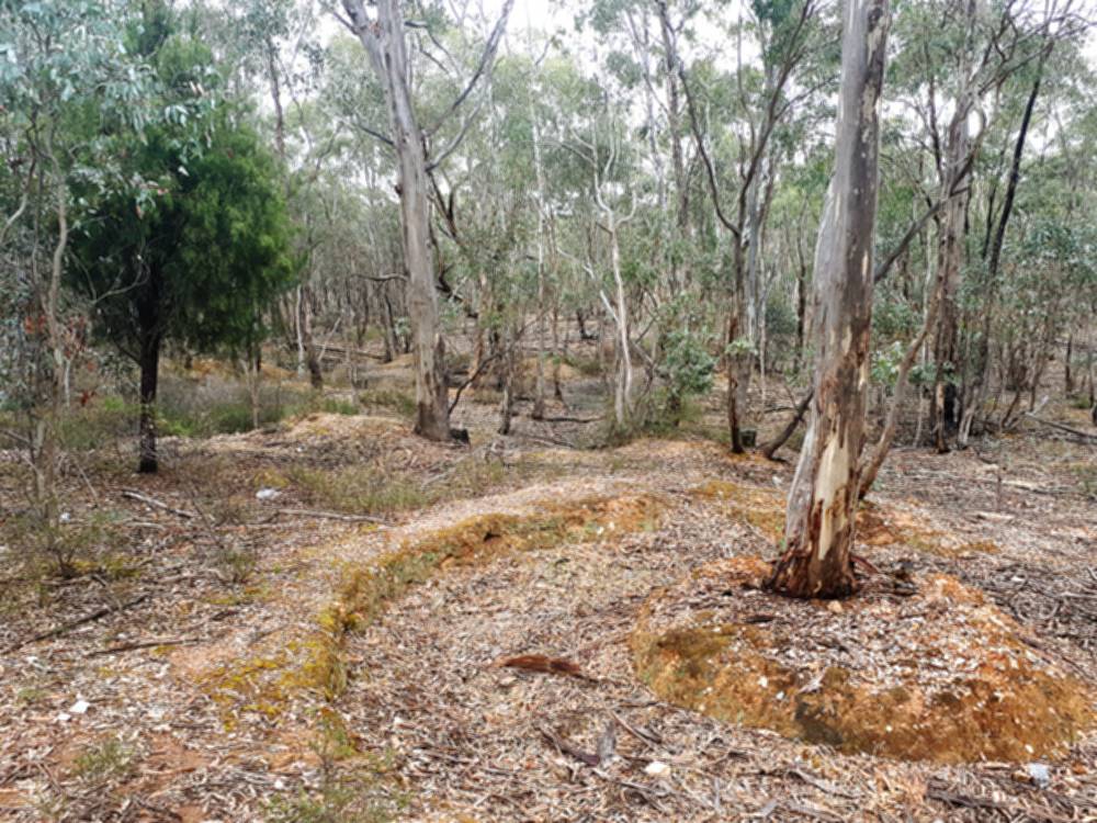 Gold Puddler on M114 Track | Goldfields Guide