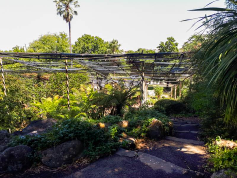 Alexandra Gardens | Goldfields Guide