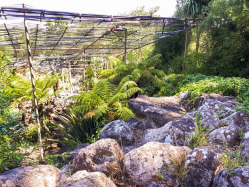 Alexandra Gardens | Goldfields Guide