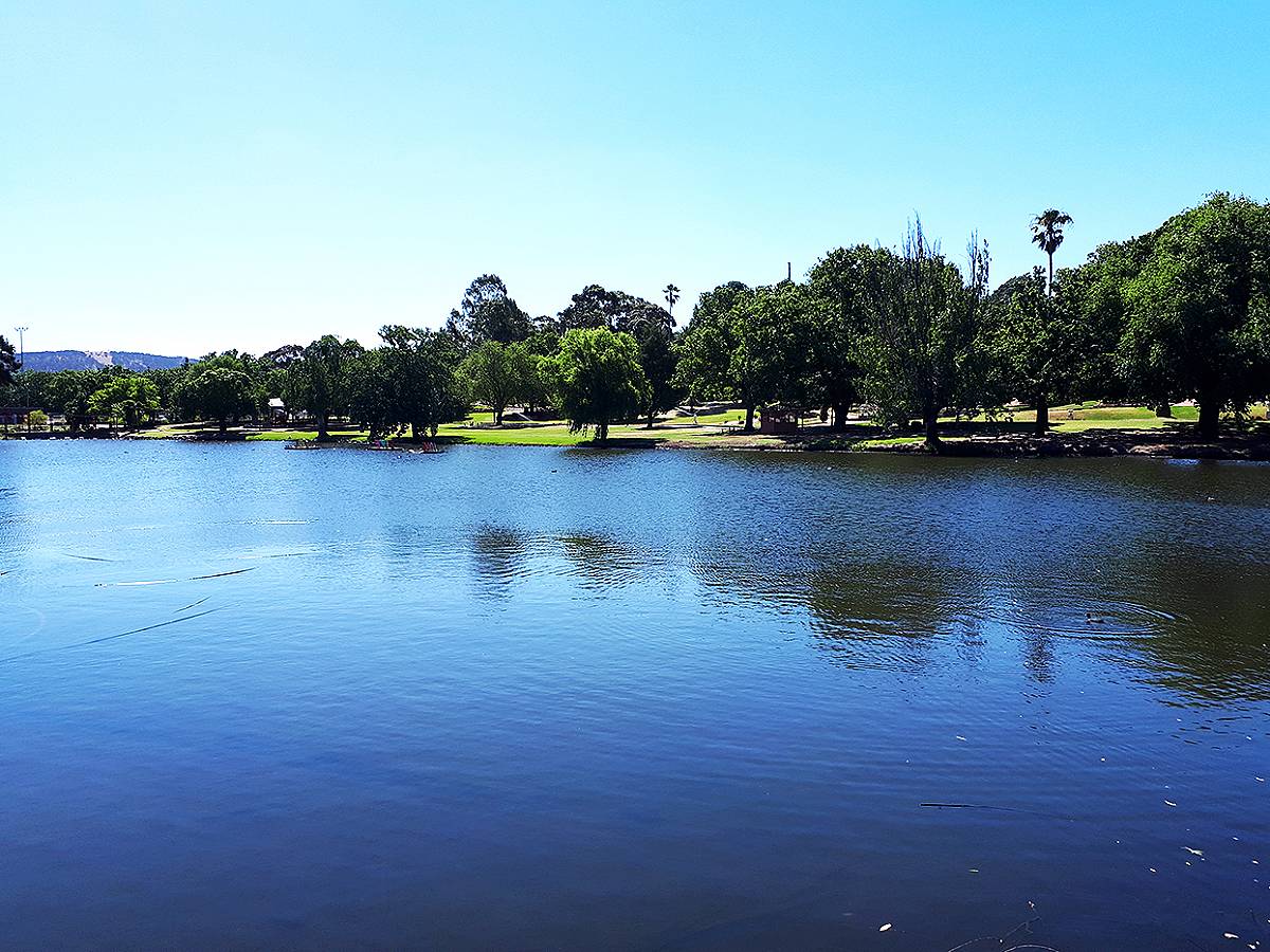 Alexandra Gardens | Goldfields Guide