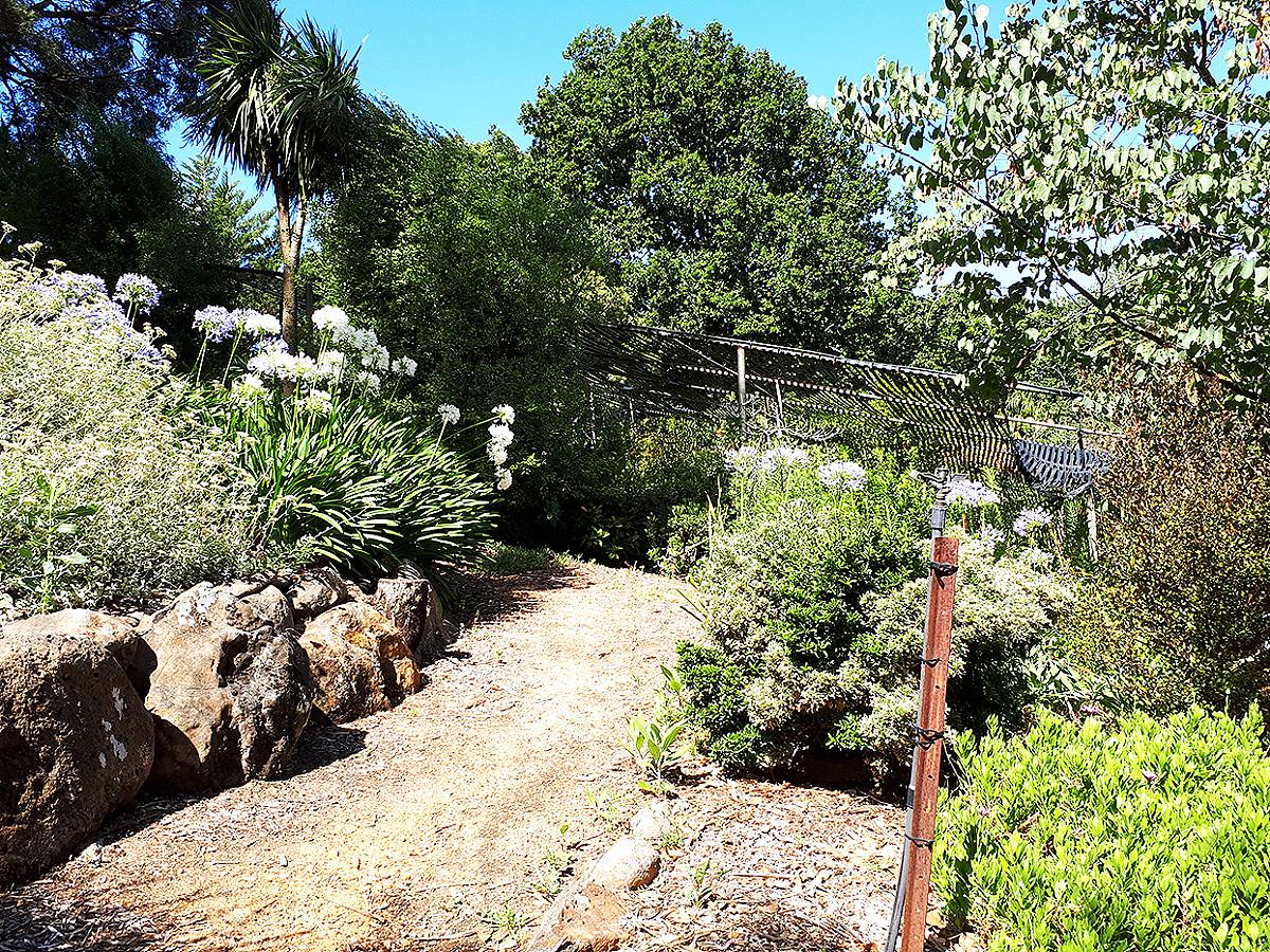 Alexandra Gardens | Goldfields Guide