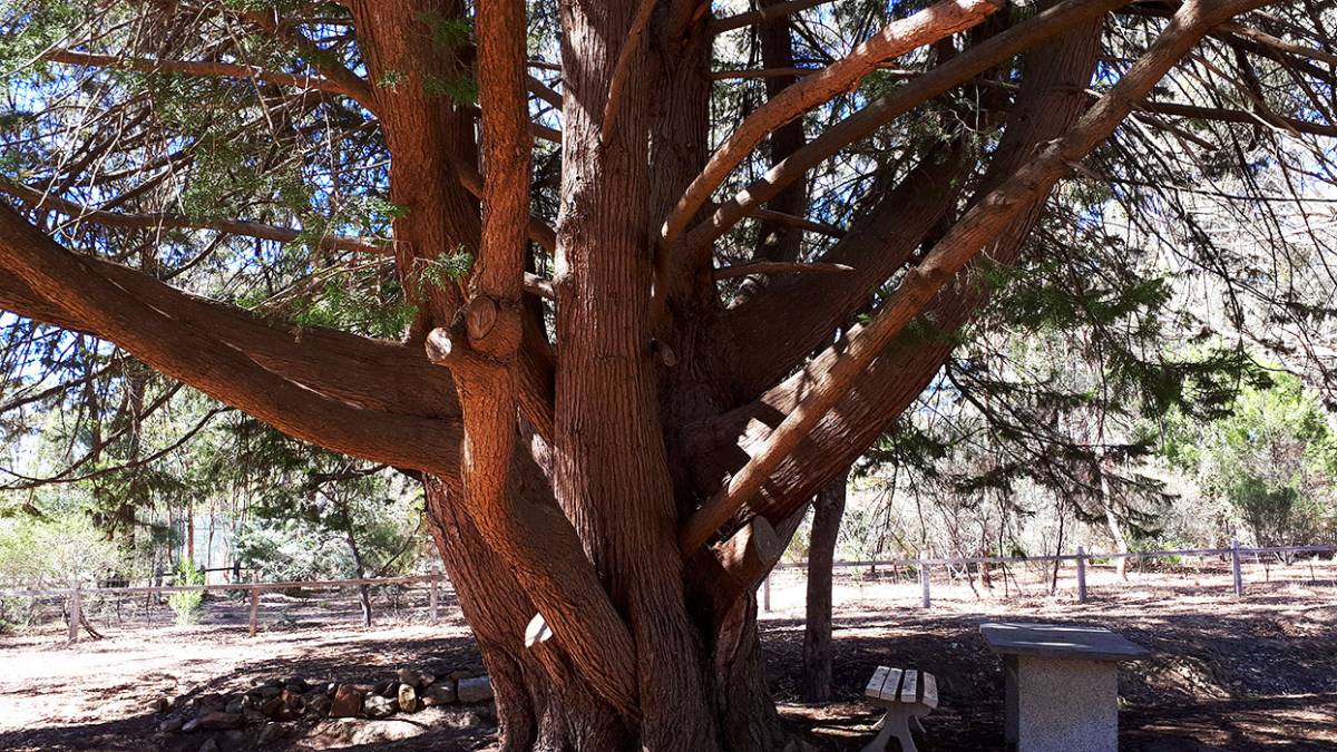 Fryerstown Public Park | Goldfields Guide
