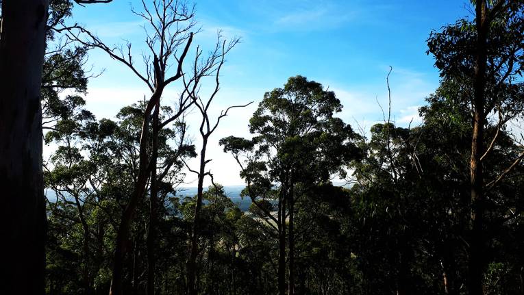 Mount Warrenheip Nature Conservation Reserve | Goldfields Guide