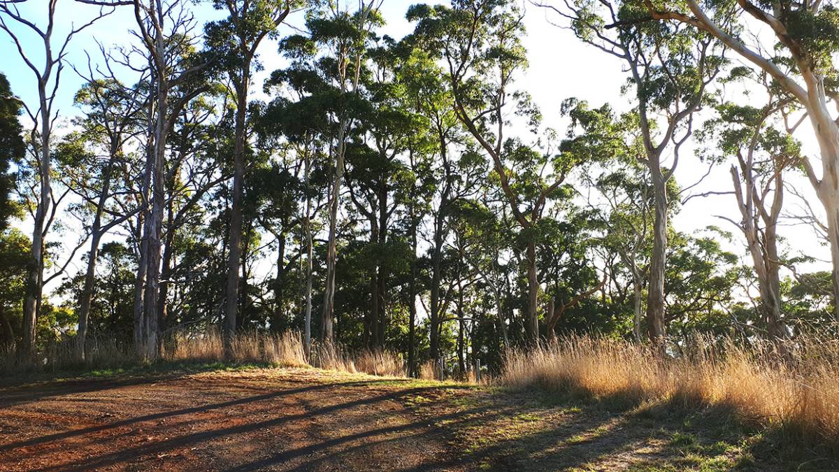 Mount Warrenheip Nature Conservation Reserve | Goldfields Guide