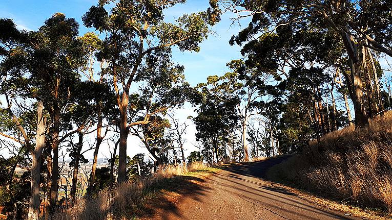 Mount Warrenheip Nature Conservation Reserve | Goldfields Guide