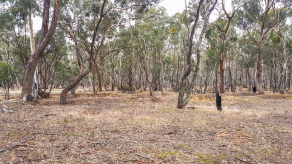 Talbot Nature Conservation Reserve | Goldfields Guide