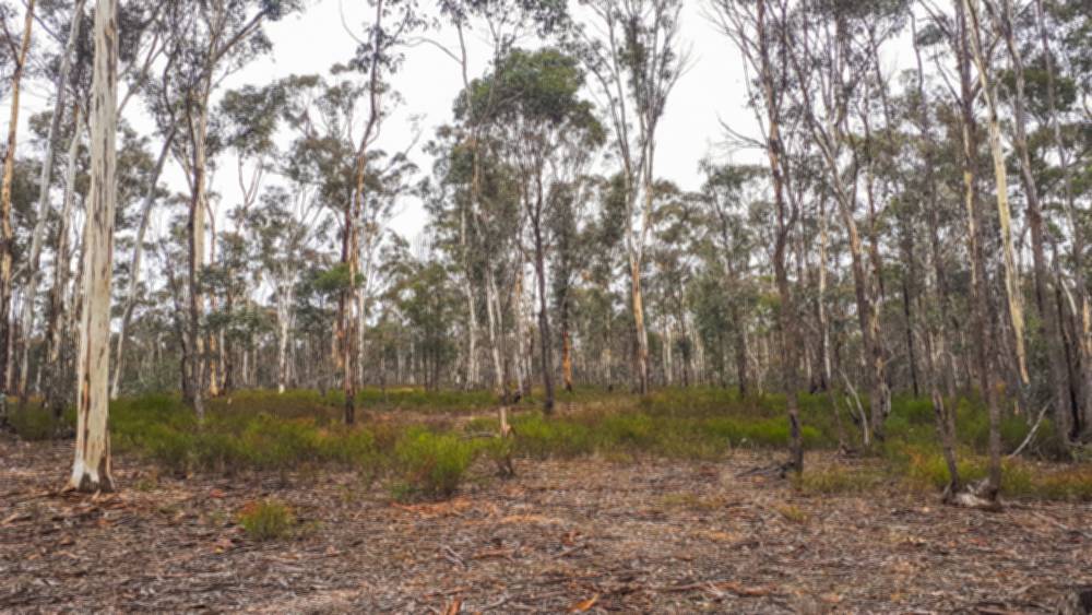 Talbot Nature Conservation Reserve | Goldfields Guide