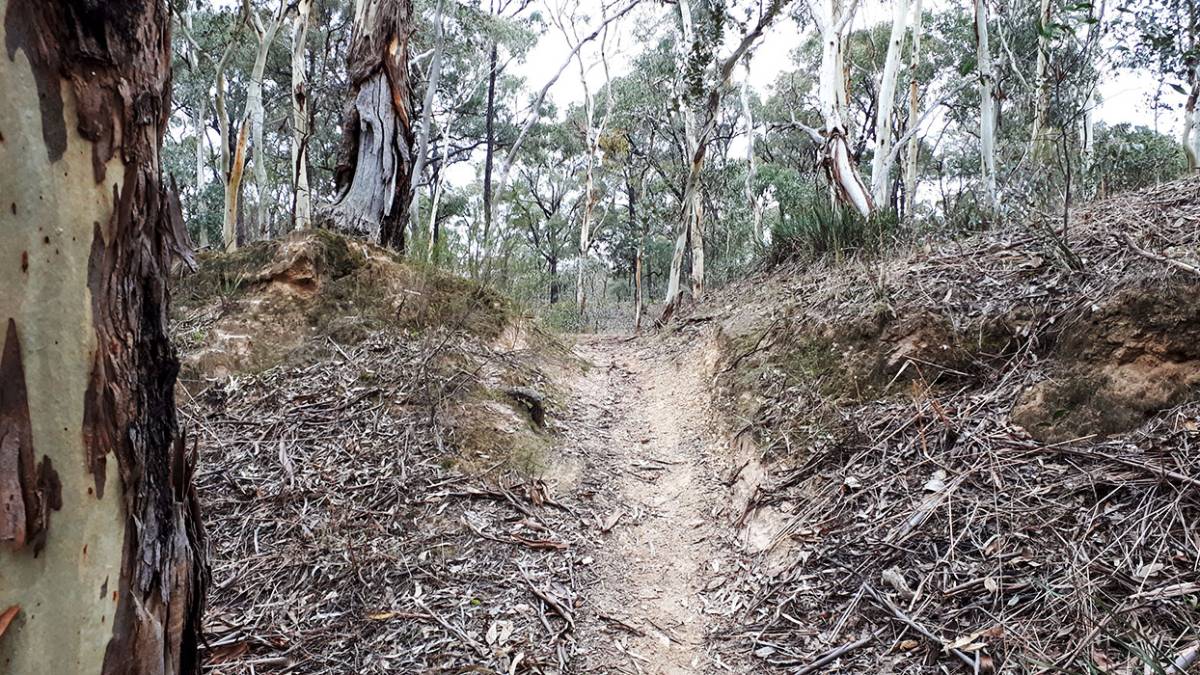 Cambrian Mine | Goldfields Guide