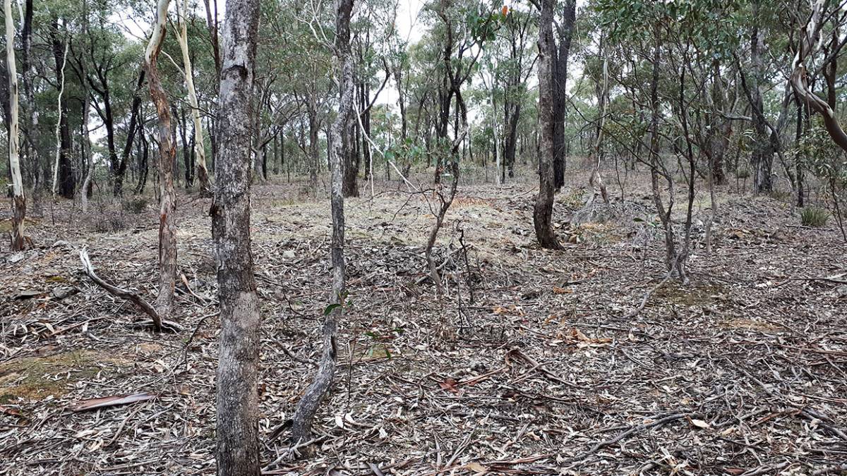 Cambrian Mine | Goldfields Guide