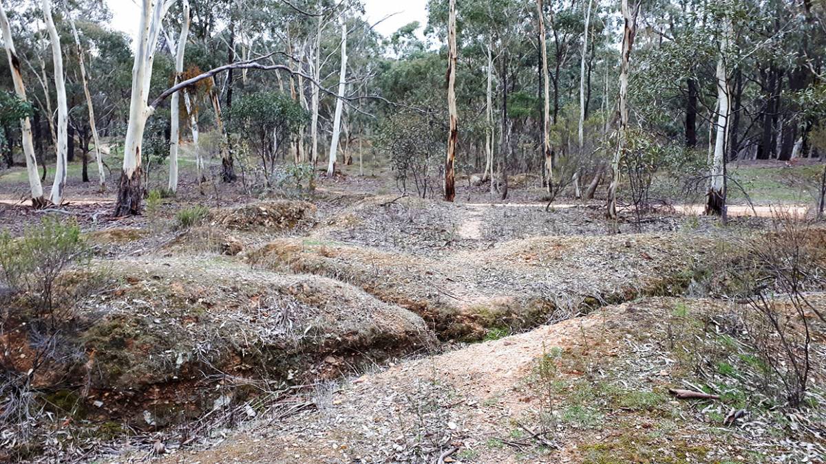 Cambrian Mine | Goldfields Guide