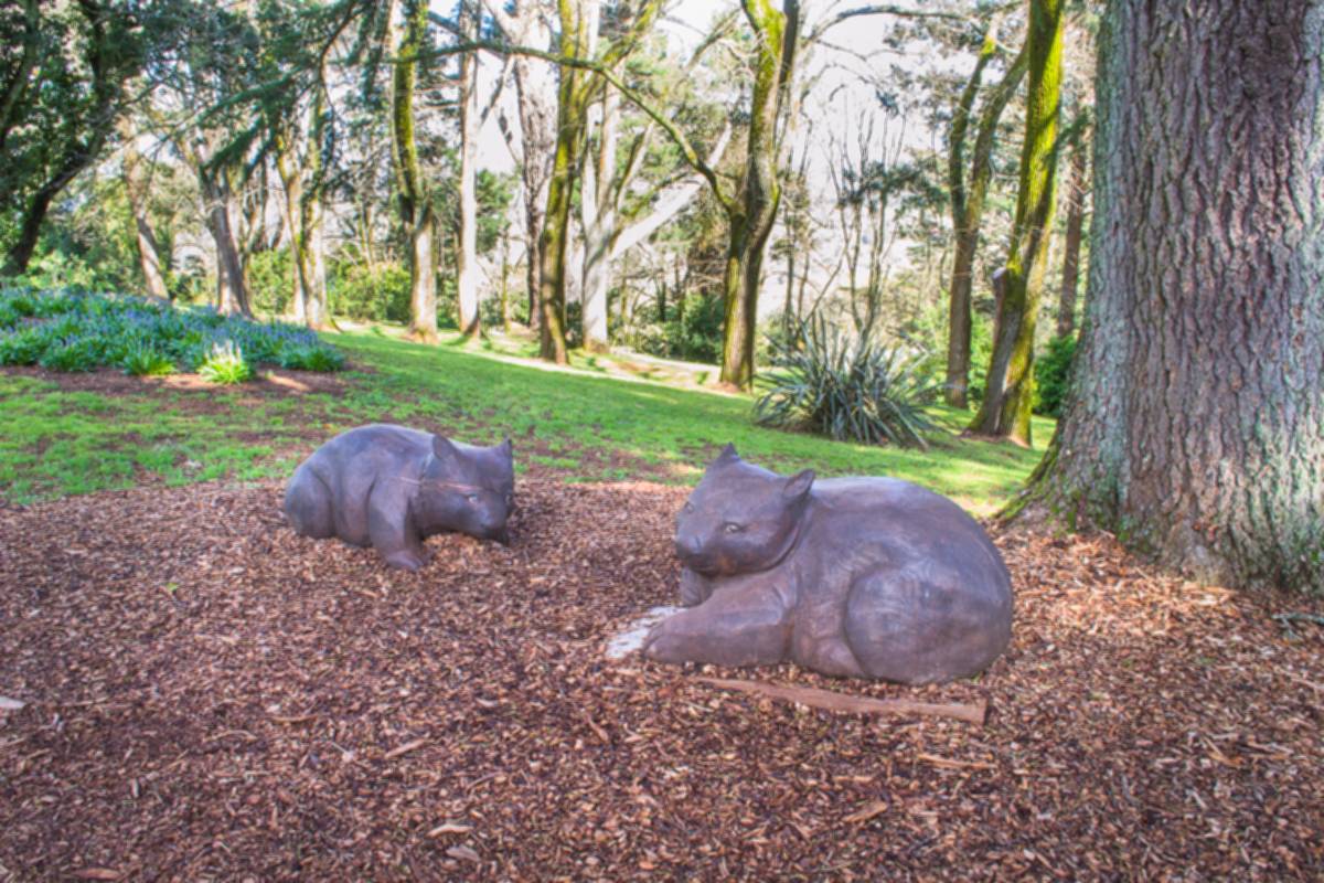 Wombat Hill Botanic Gardens | Goldfields Guide