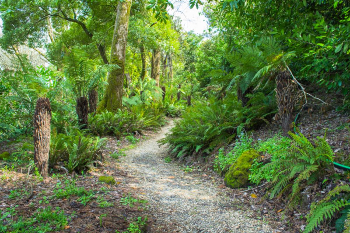 Wombat Hill Botanic Gardens | Goldfields Guide